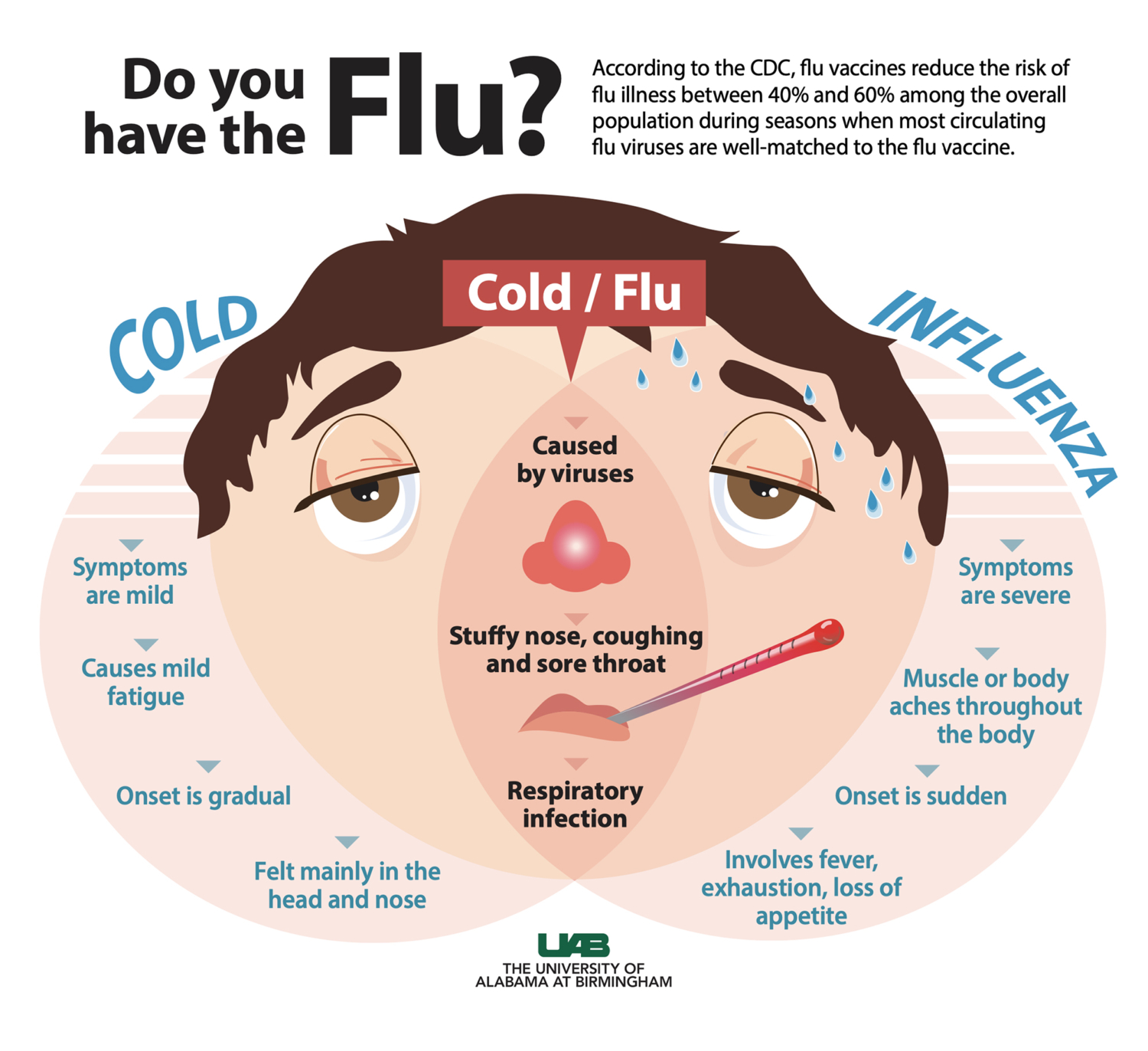Influenza (flu) is a contagious respiratory illness caused by influenza ...